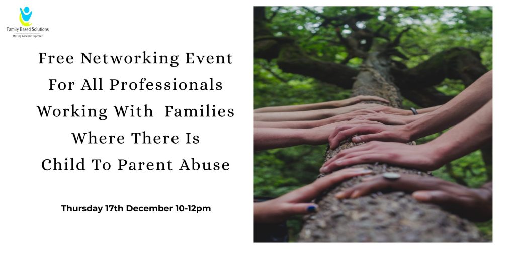 solution focused training for professionals working with families ...